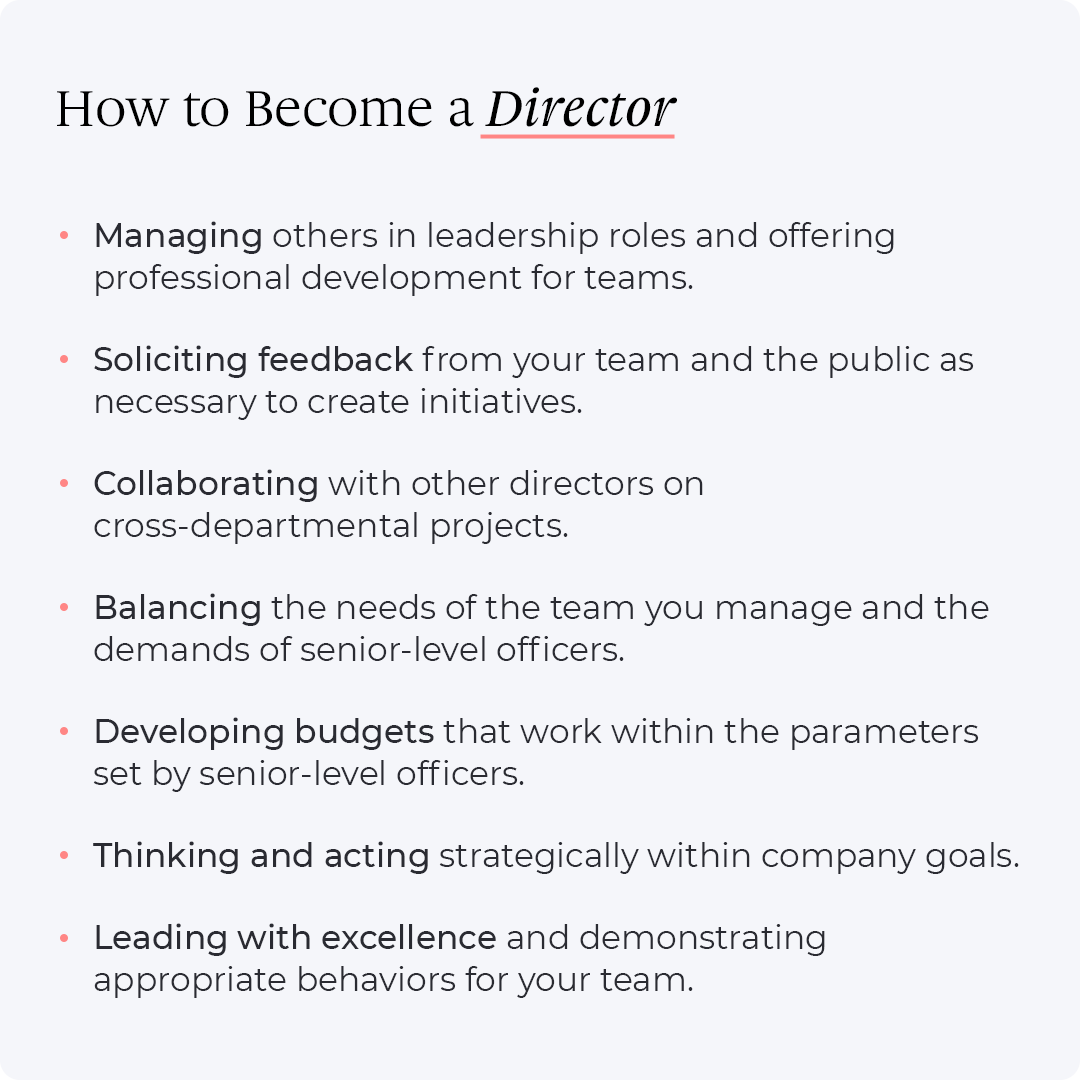 Directors and Vice Presidents: What You Need to Know | Ivy Exec