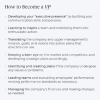 Directors and Vice Presidents: What You Need to Know | Ivy Exec