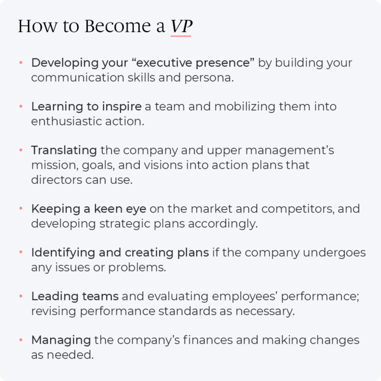 Directors and Vice Presidents: What You Need to Know | Ivy Exec